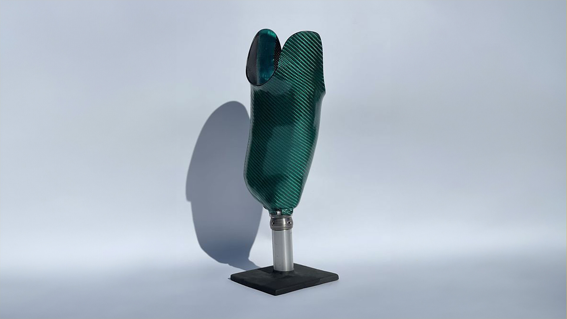 Orthopaedics - Hypetex